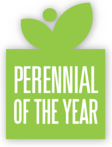 2017 Perennial Of The Year – National Plant of the Year