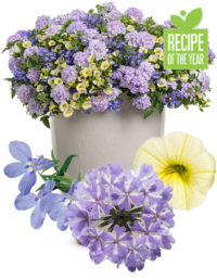 Neptune Recipe – National Plant of the Year