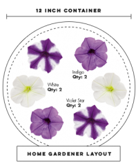Misty Seas Recipe – National Plant of the Year